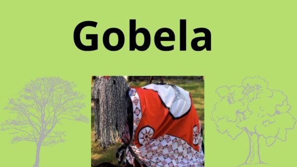 Gobela – IMITHI YESINTU