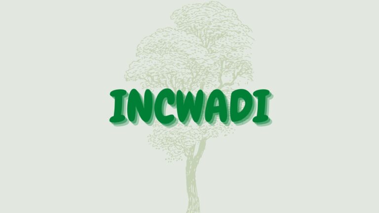 Incwadi – IMITHI YESINTU