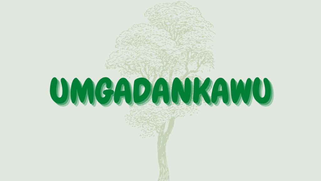 Umgadankawu – IMITHI YESINTU