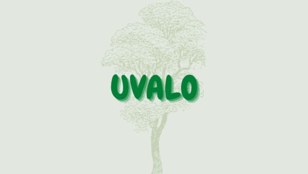 Uvalo – IMITHI YESINTU