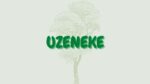 Uzenele – IMITHI YESINTU