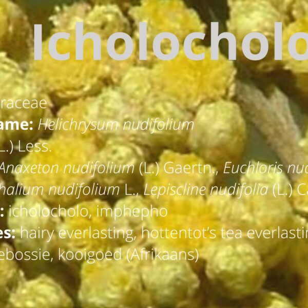 Vimbela Colors & Their Meaning