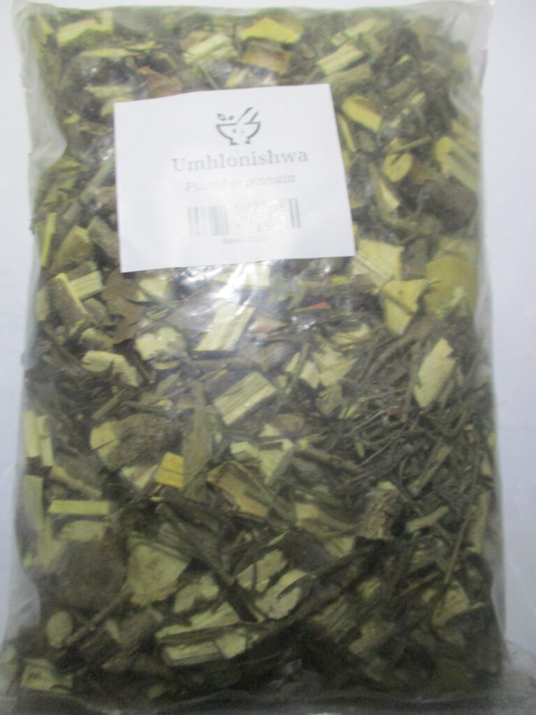Umhlonishwa – IMITHI YESINTU