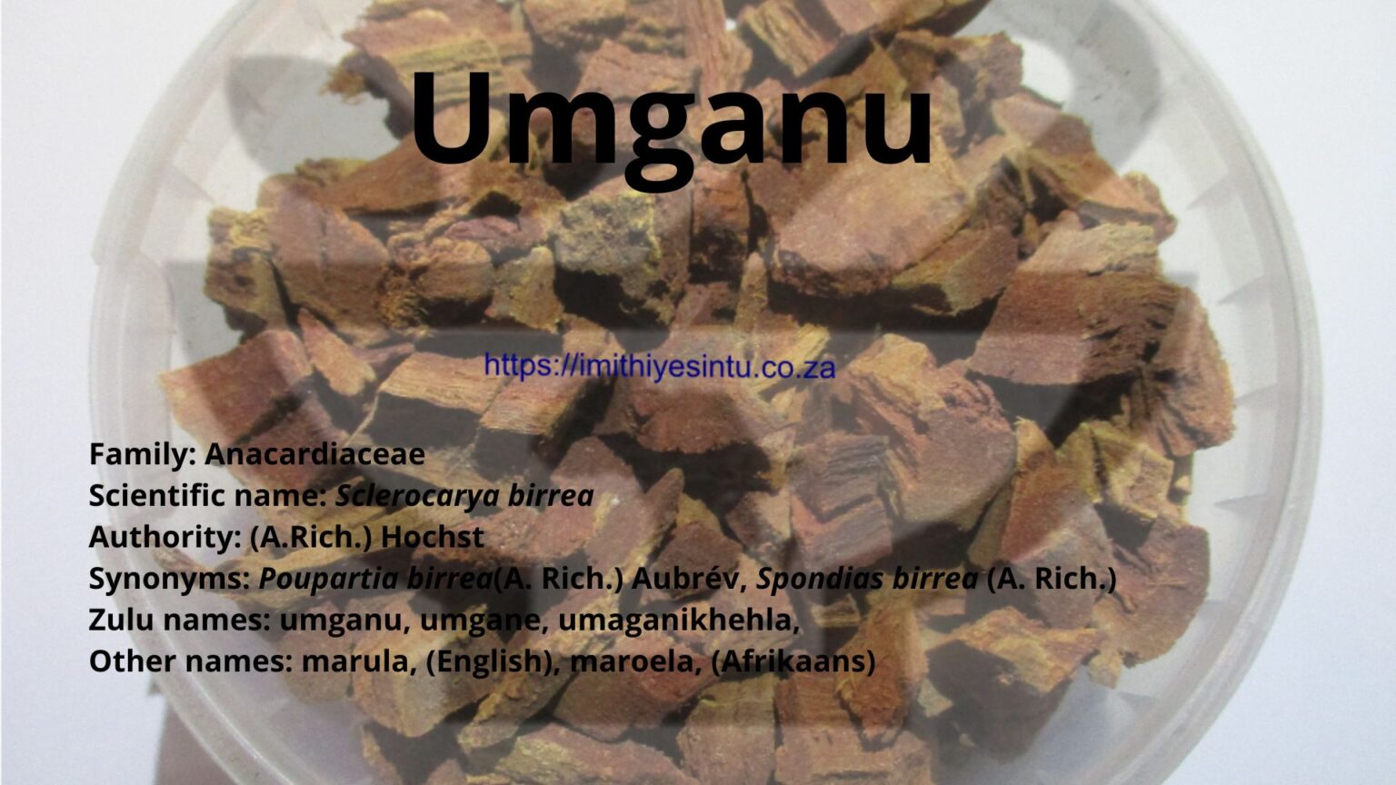 Imithi – IMITHI YESINTU