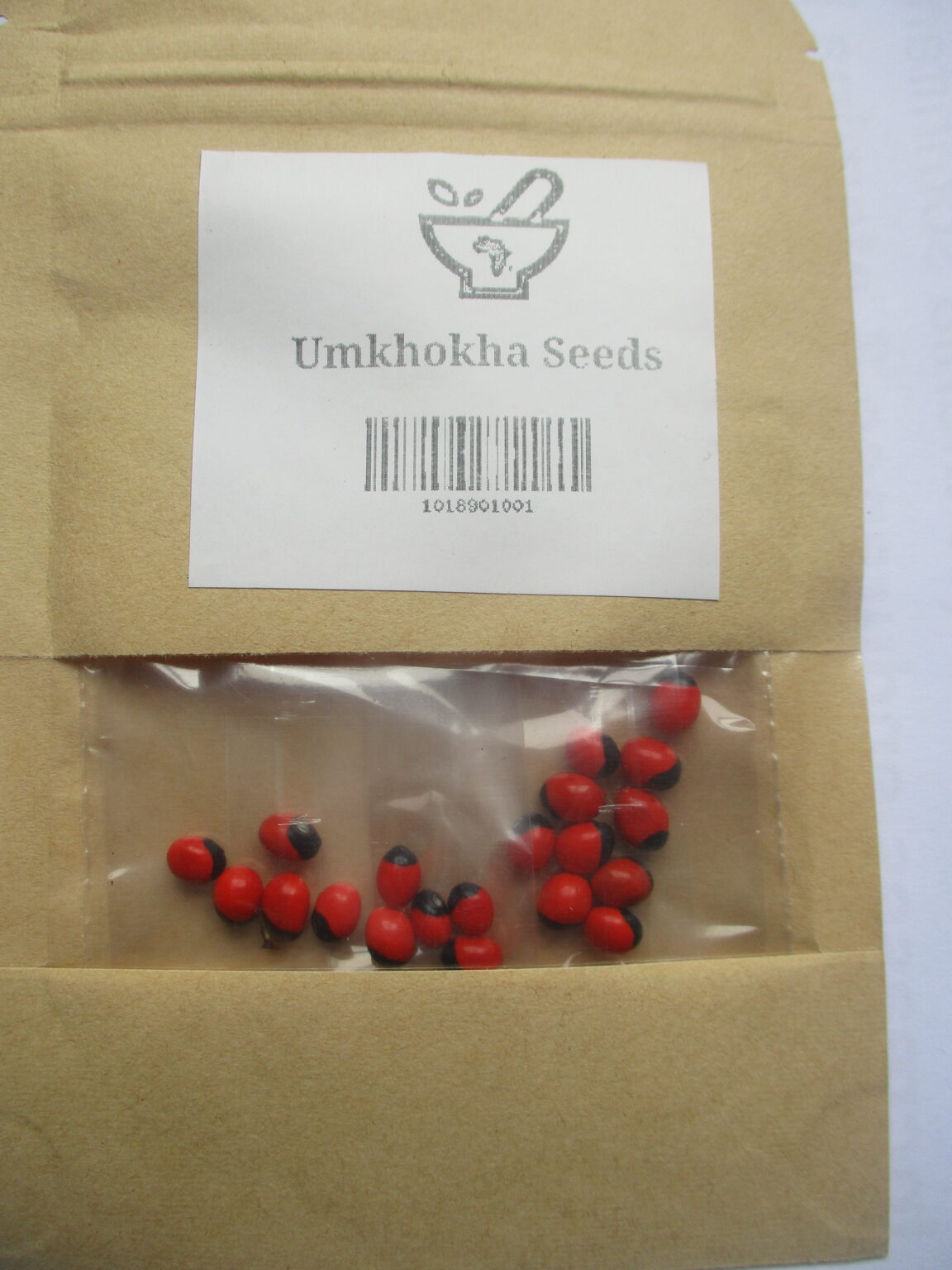 Umkhokha seeds IMITHI YESINTU Traditional Medicine